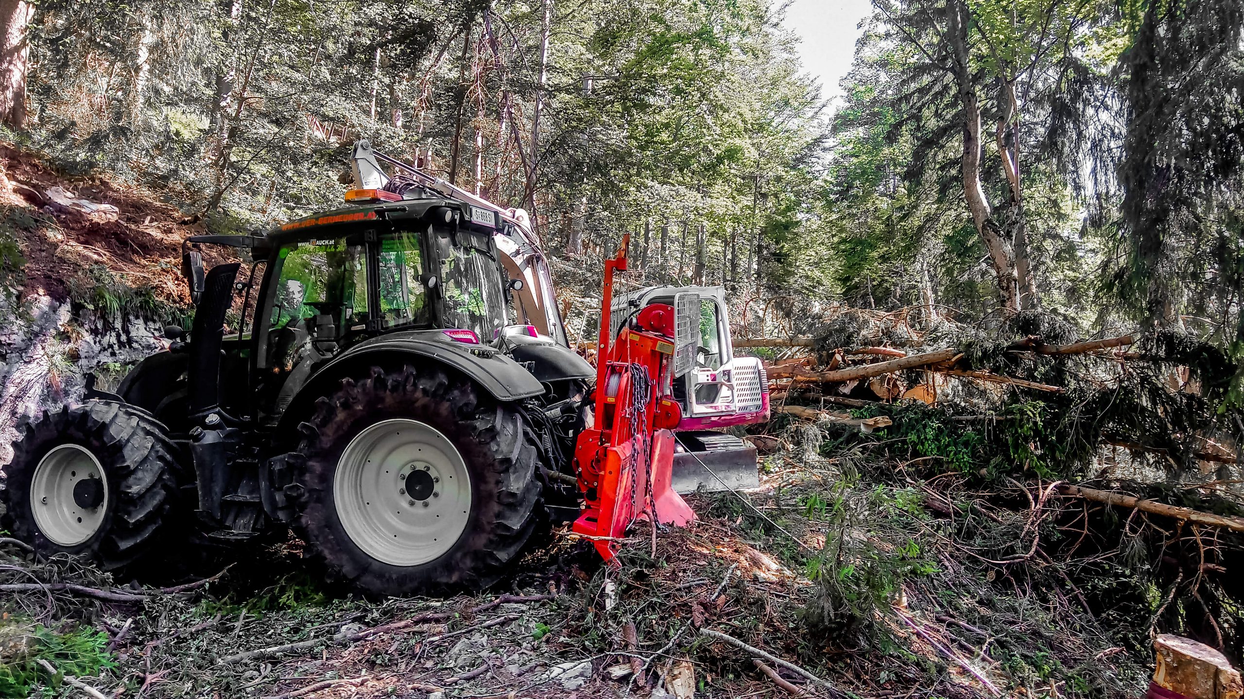 Forst- & Rodungsarbeiten - Der Bernegger: Baumpflege, Winterdienst ...